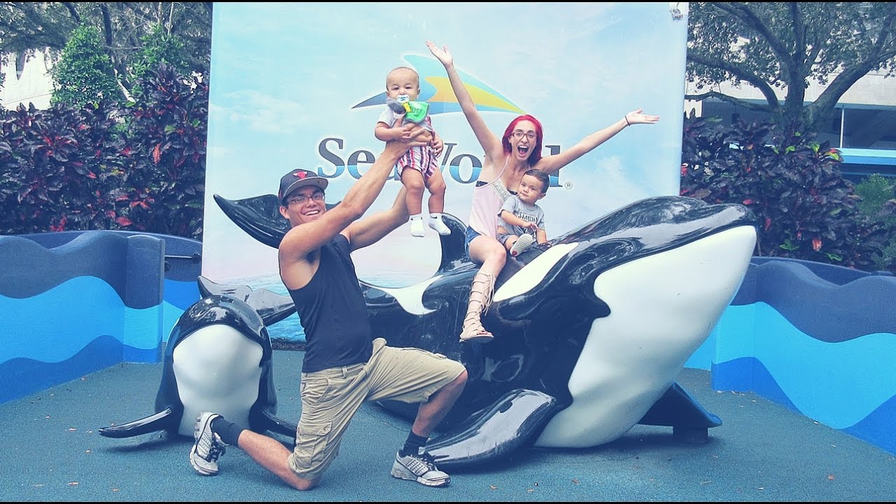 SeaWorld blocked the Dolphin tank because of us! Sarah yells at teens ...