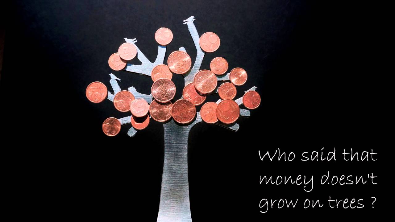 Coins Tree - YouTube