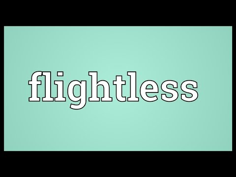 Flightless Meaning