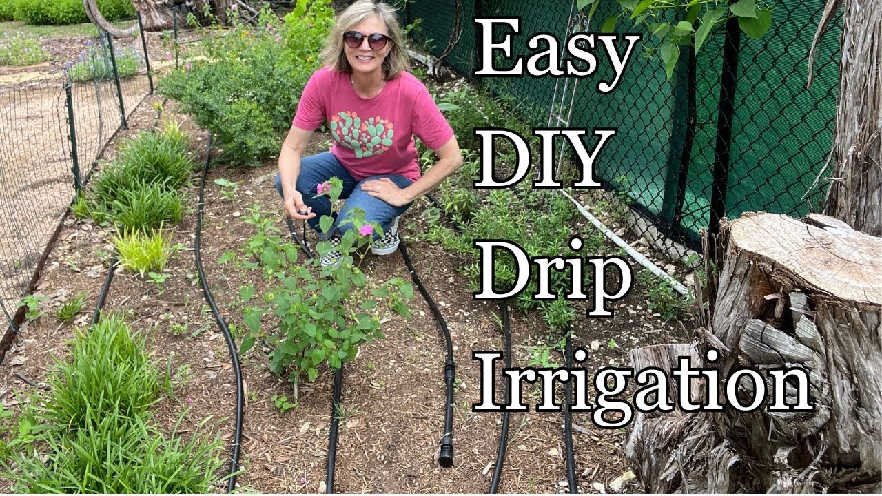 Easy DIY Drip Irrigation for you Central Texas Gardens - YouTube