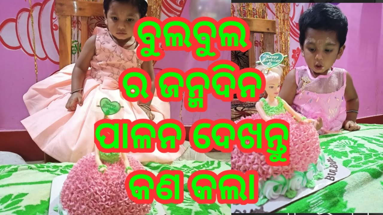 BULBUL BIRTHDAY CELEBRATION.#BULBULBirthday - YouTube