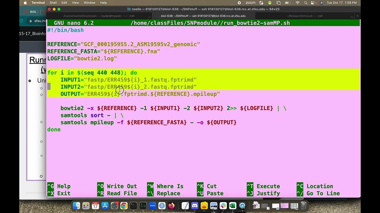 Bash Automation Script - YouTube
