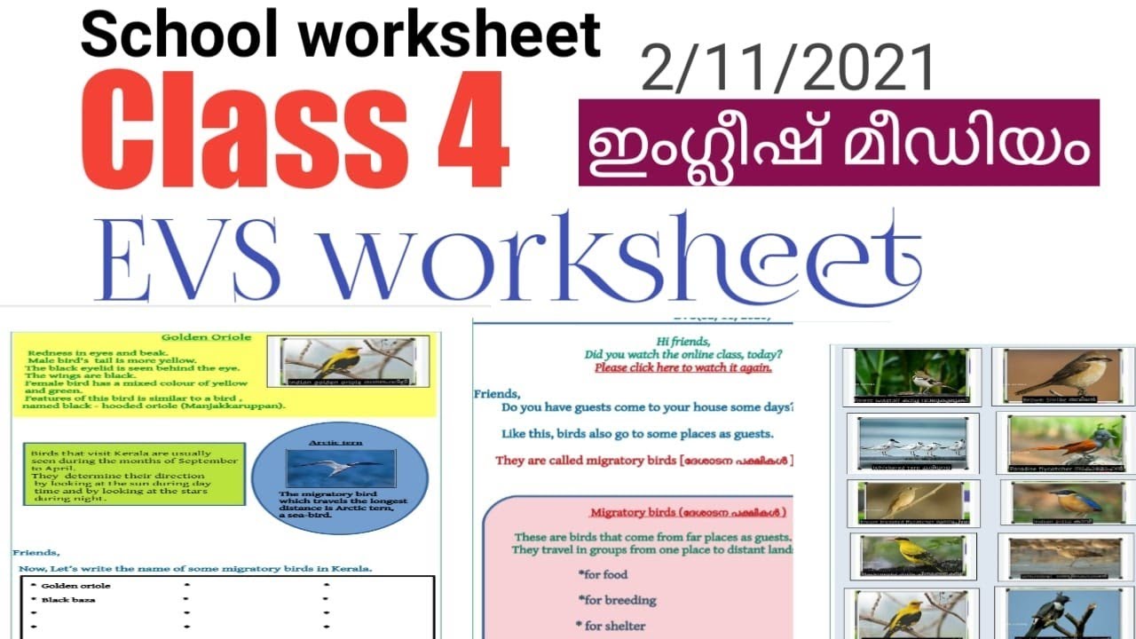 class 4 EVS worksheet 2/11/21| 4th std EVS school worksheet 2/11/21 - YouTube