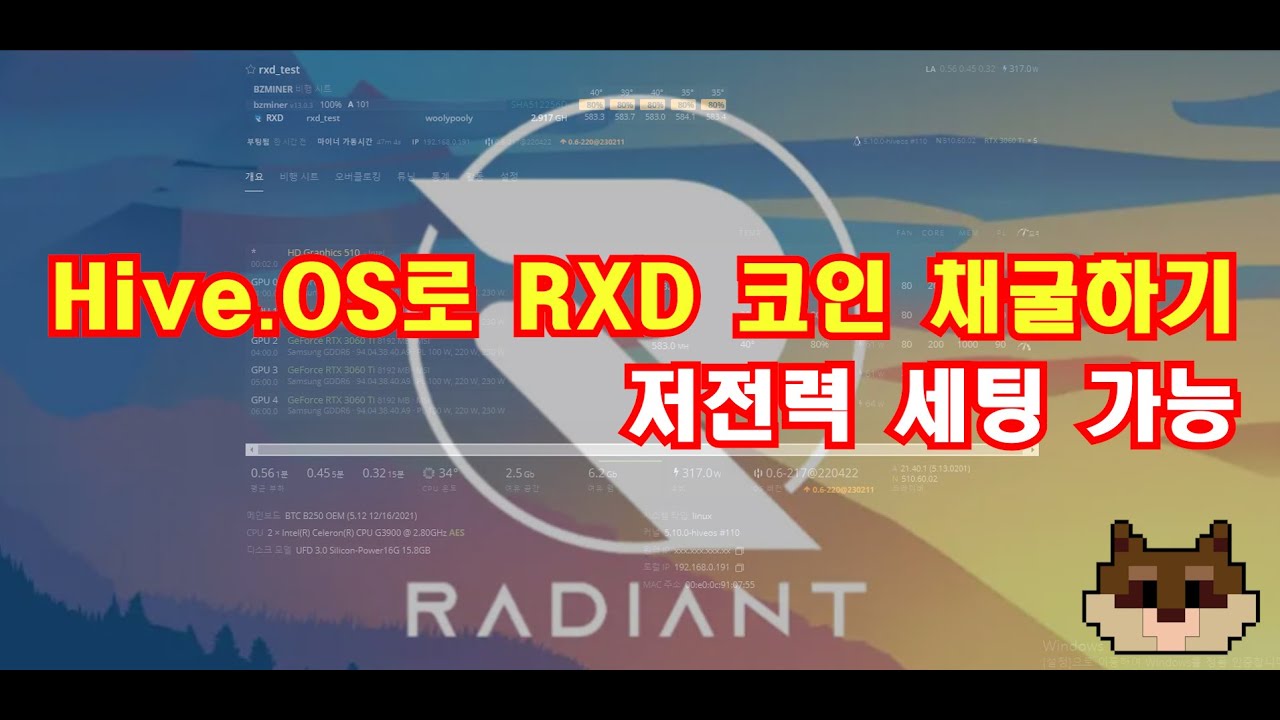 신규 코인 채굴하기!! RXD(Radiant) - YouTube