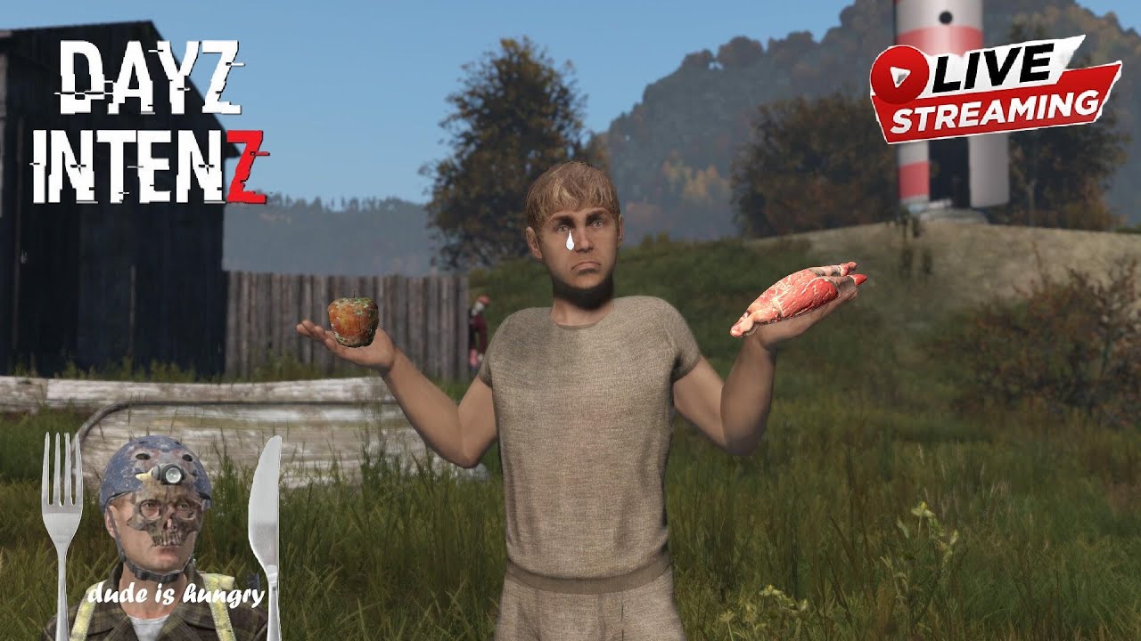 DayZ - Intenz - LIVE - With Broomie !! - !Discord !Commands !Nightbot ...