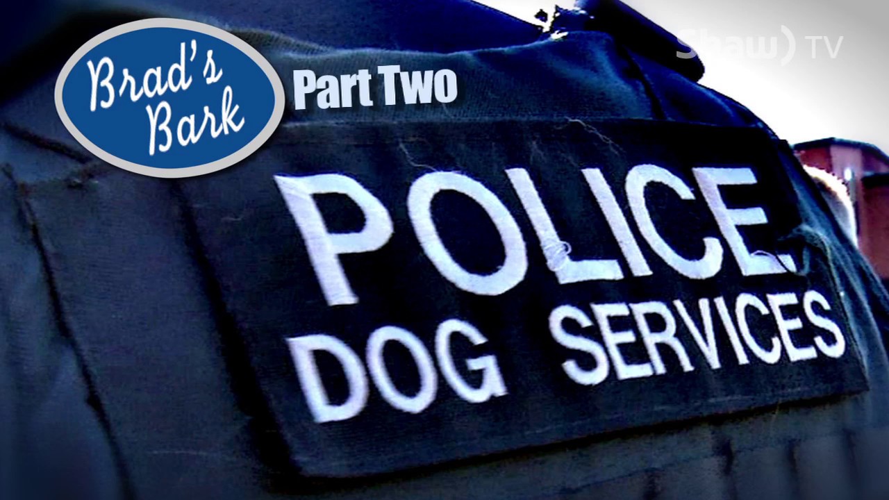 Brad's Bark Episode 15 - RCMP K9 Unit PT2 - YouTube