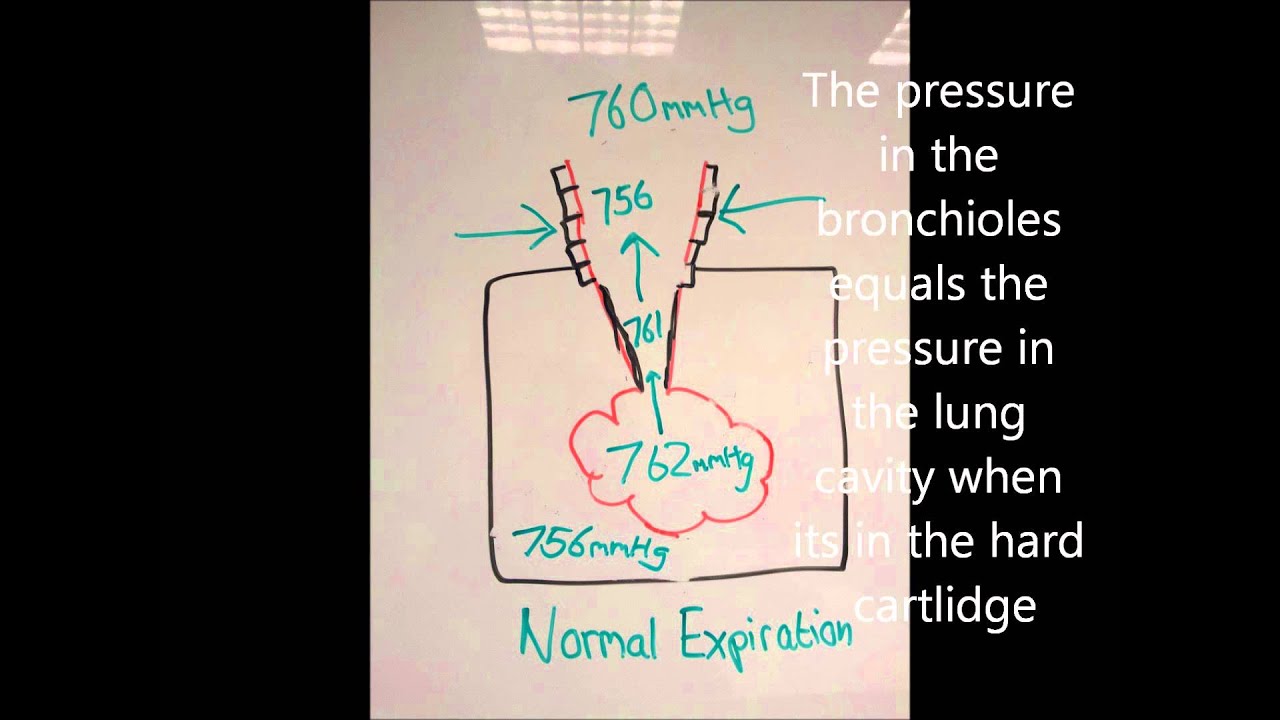 Gas Trapping Explained - YouTube