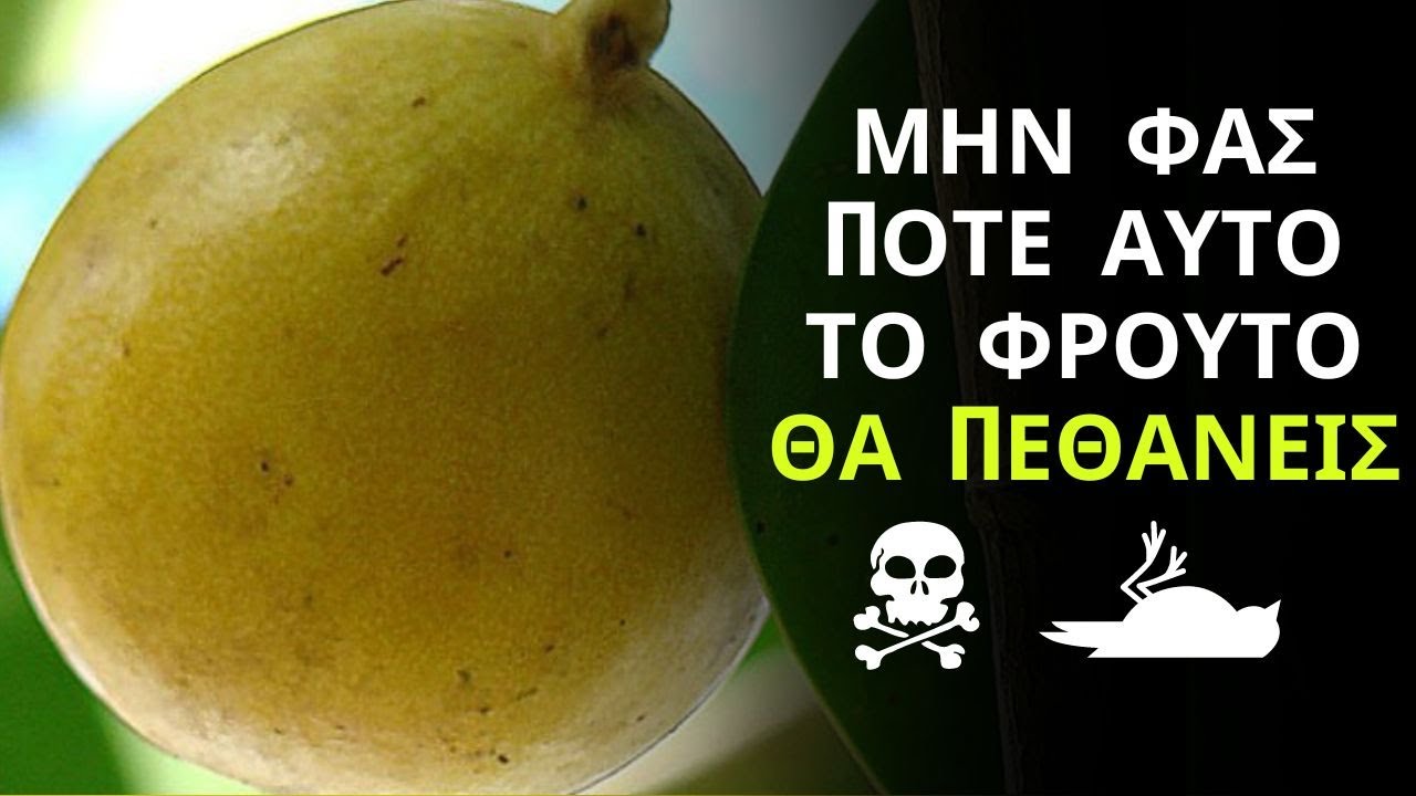 ΠΡΟΣΟΧΗ ! ! - ΘΑ ΠΕΘΑΝΕΙΣ Αν Φας ΑΥΤΟ Το Φρούτο - ΜΗΝ ΤΟ ΦΑΣ ΠΟΤΕ - YouTube