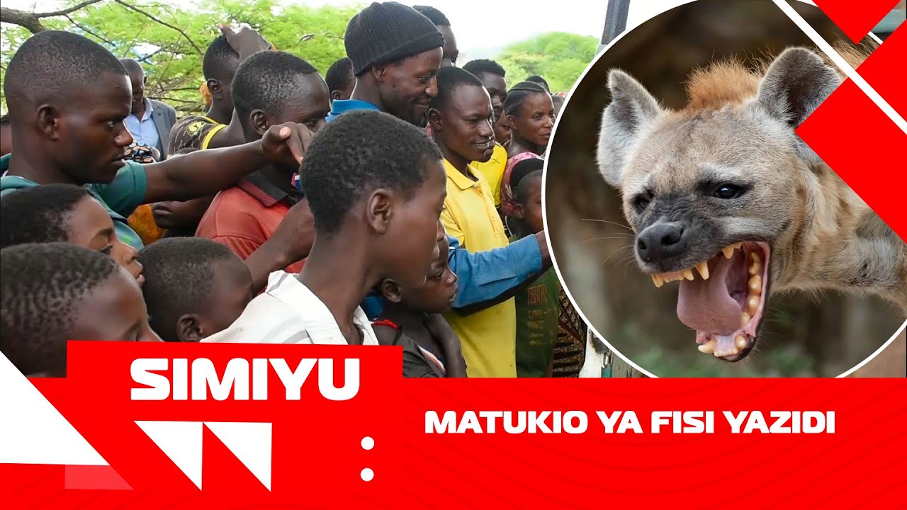FISI NA CHUI WALIVYOTAWALA KWA MATUKIO MAZITO MKOANI SIMIYU - YouTube