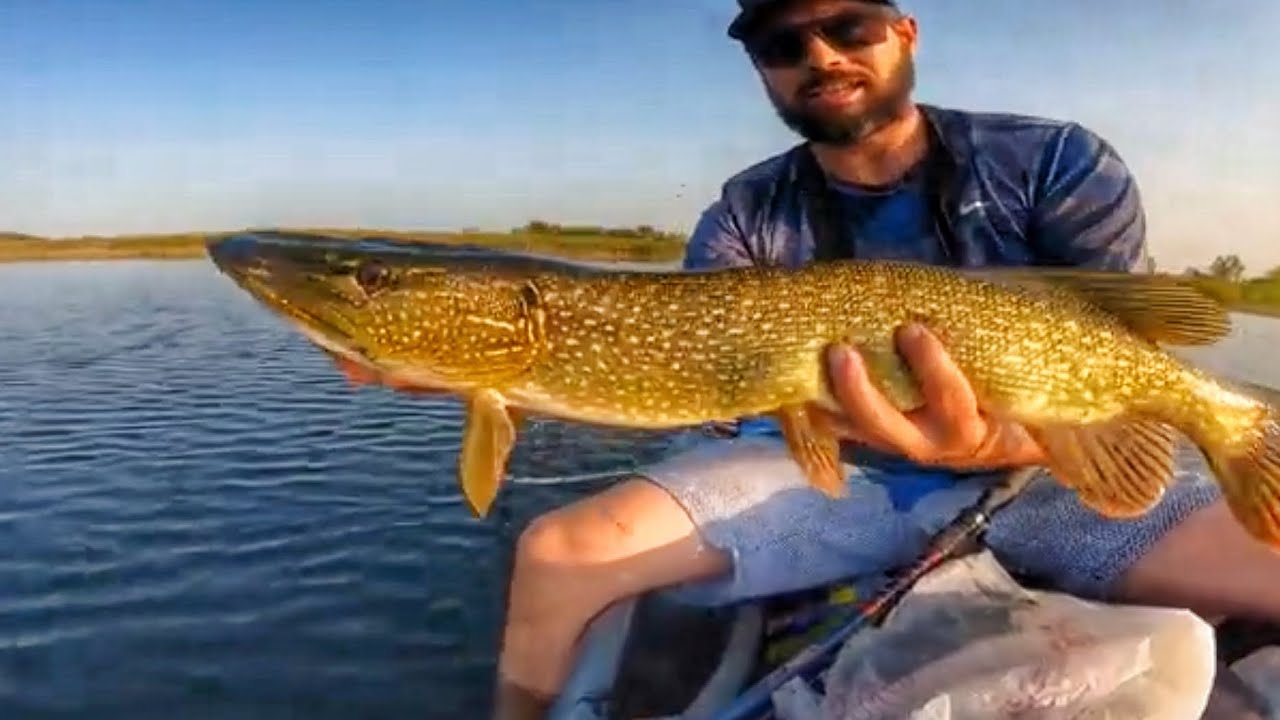 Bullets over head || Kayak Fishing Wisconsin’s Waterfowl Hunting season ...
