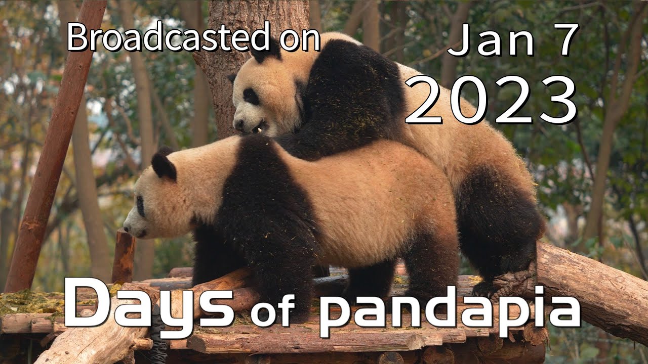 20230107 Broadcast Top Highlights 03 - YouTube