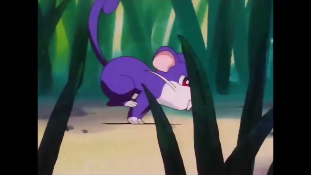 Rattata Pokédex Entry - Pokemon, I Choose You - YouTube