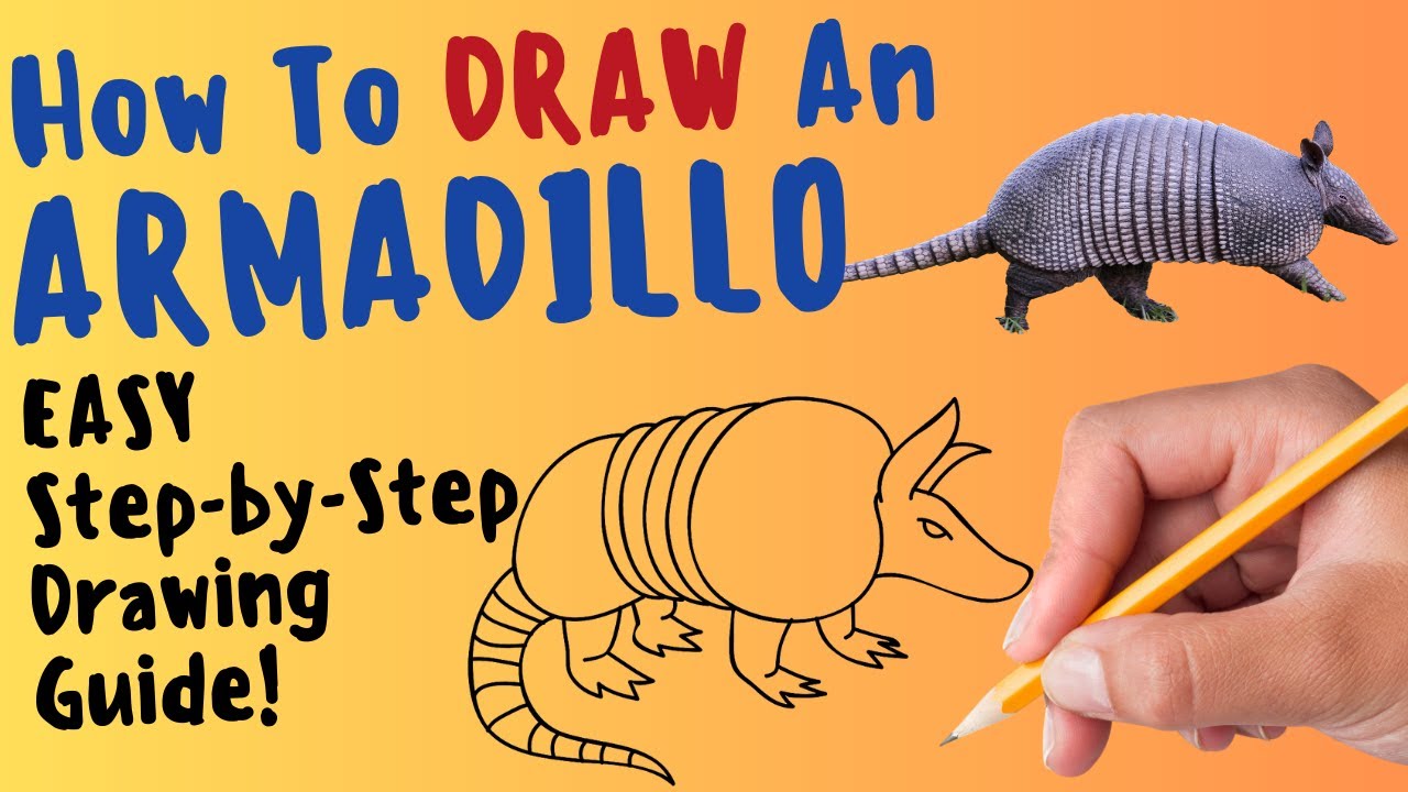 How To Draw An Armadillo - EASY Step by Step Drawing and Coloring Guide - YouTube