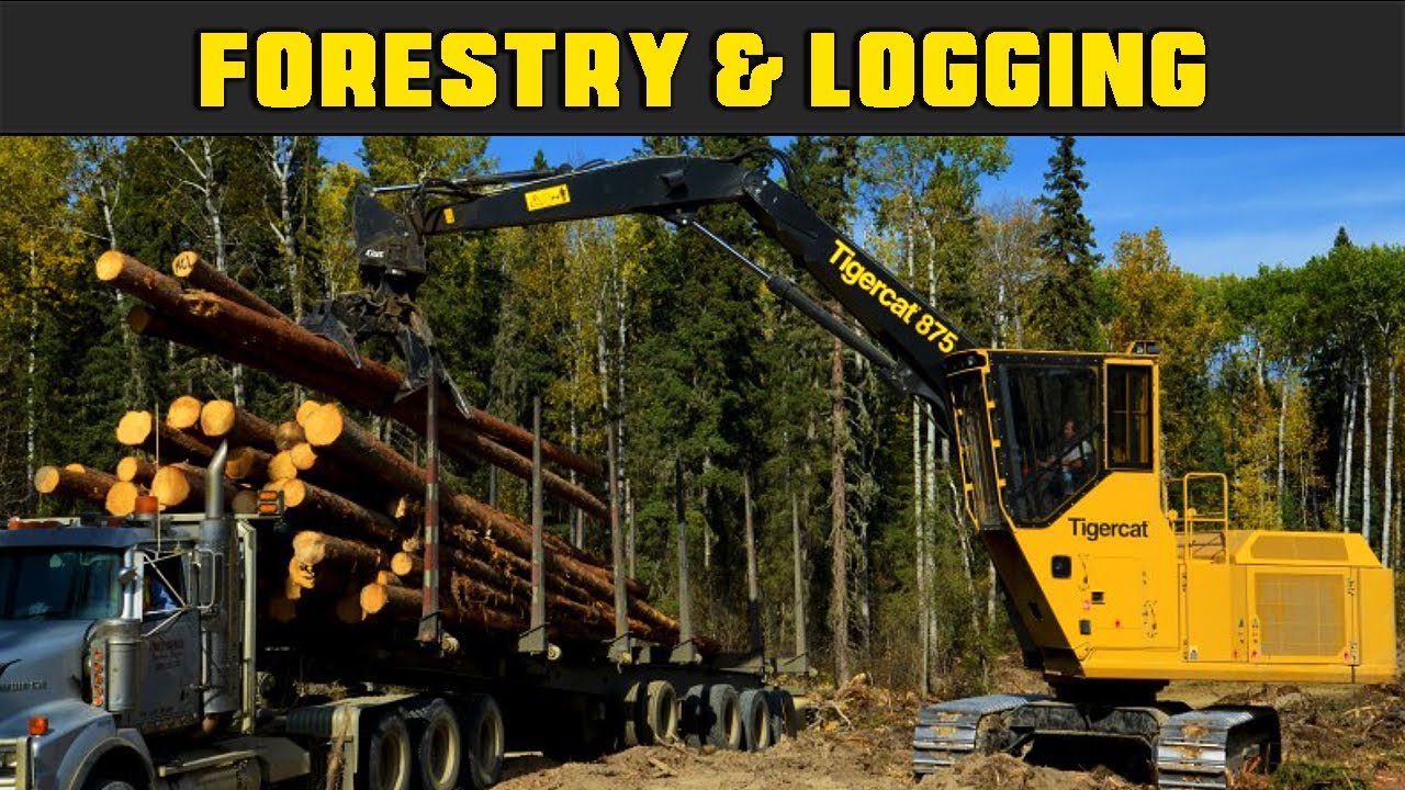 Tigercat Dangle Loader + Lowbedding A Skidder - Real Life Forestry ...
