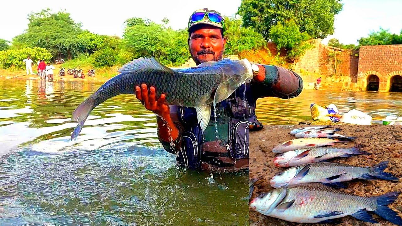 Fishing | Unbelievable Fishing | 🐟Biggest Catla Fish Catching ...
