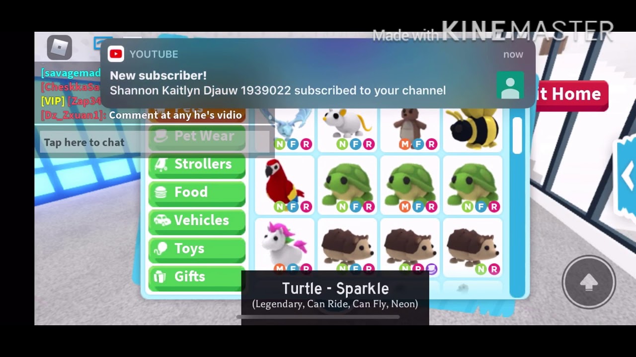 NEON TURTLE GIVEAWAY ADOPT ME ROBLOX - YouTube
