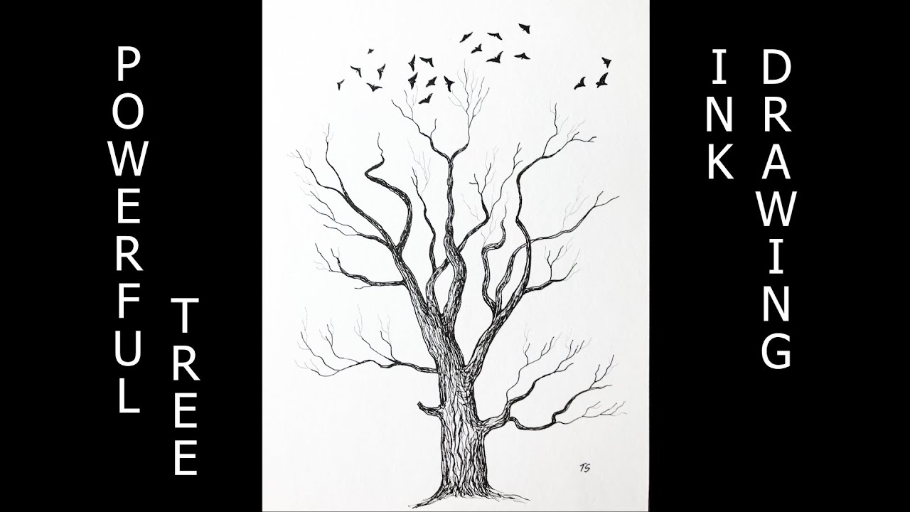 Ink Drawing. Powerful Tree - YouTube
