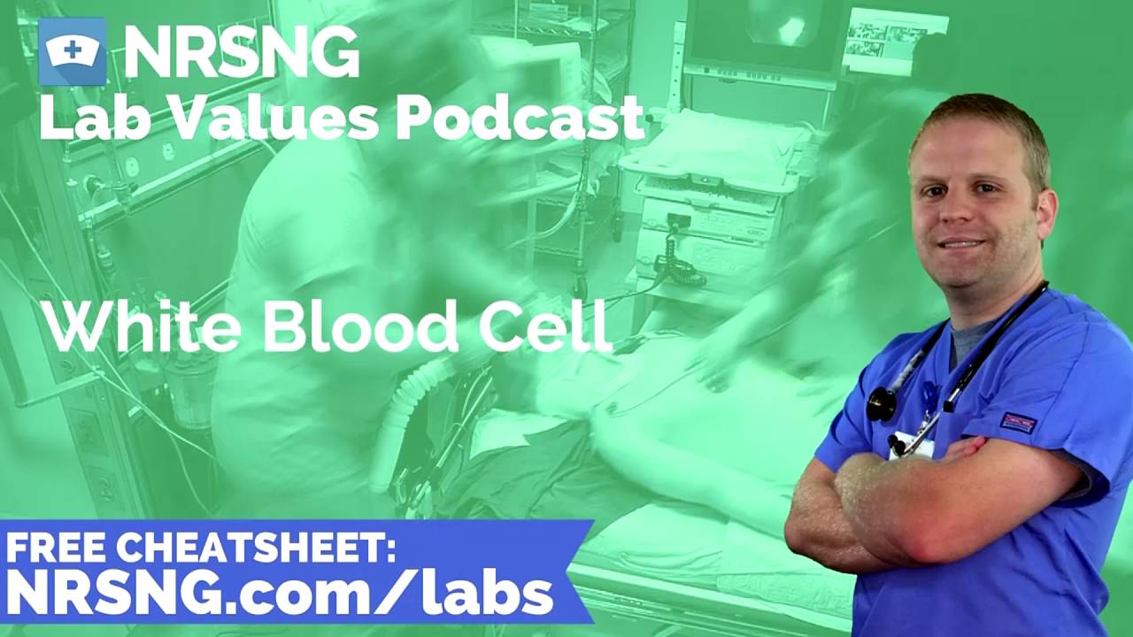 White Blood Cell Nursing Considerations, Normal Range, Nursing Care ...