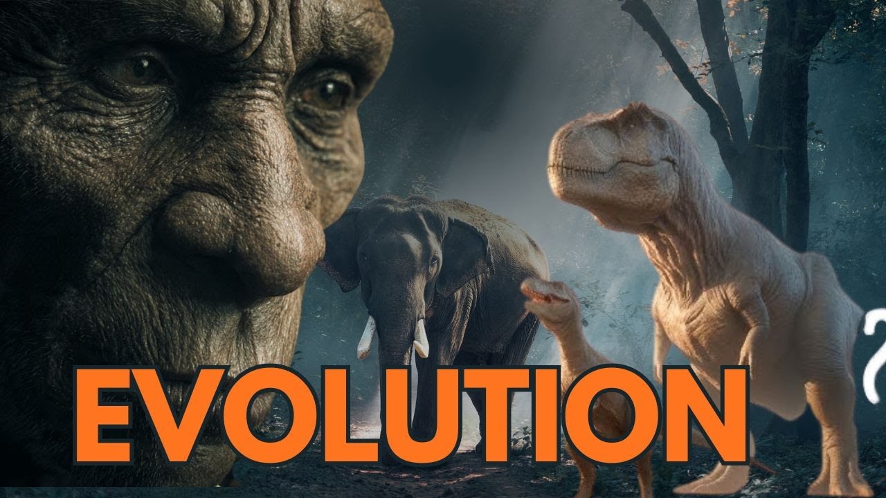 Human Evolution Full Documentary | End Of dinosaurs and Evolution of ...
