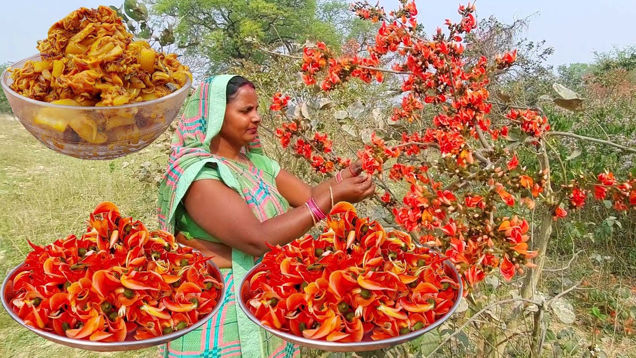 पलाश के फूल की सब्जी | स्वास्थ के लिए औषधि गुणकारी अनगिनत फायदे वालि ...