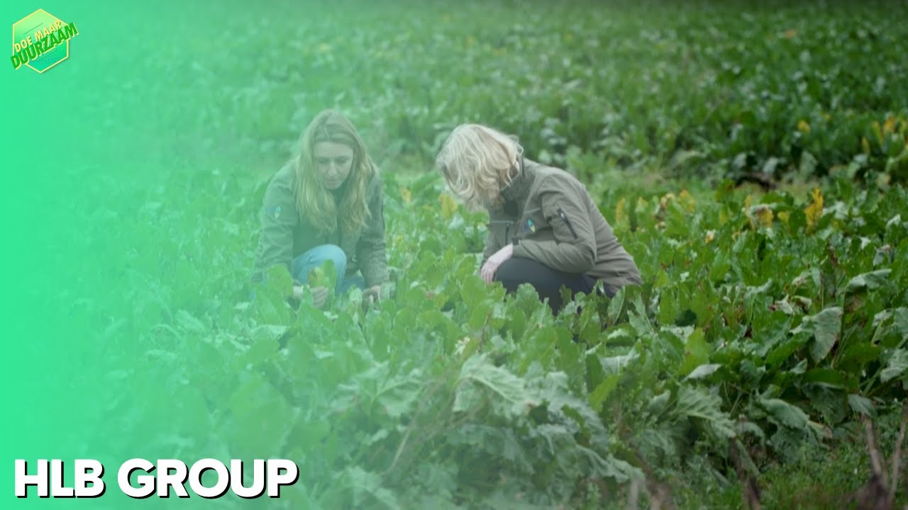 HLB Group item Doe Maar Duurzaam; Natuur & Milieu - YouTube