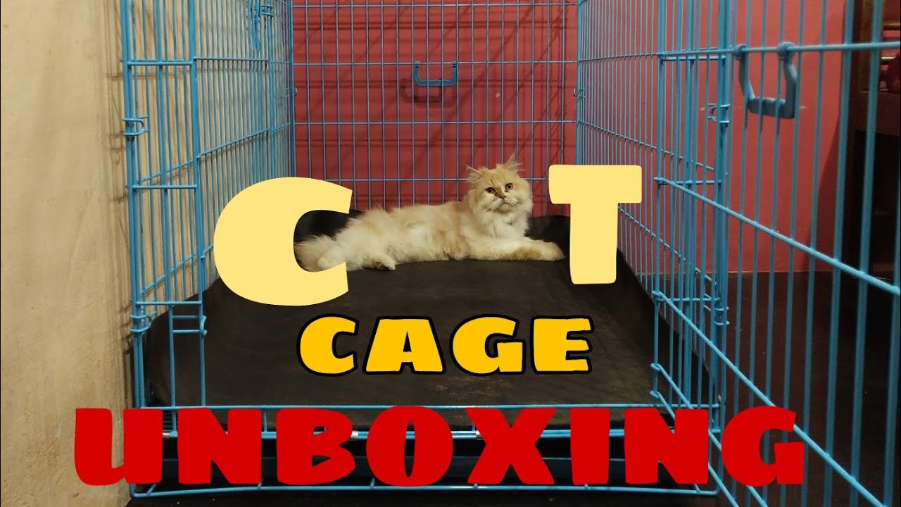 Unboxing cat cage || Double Door 24 inches metallic cage - YouTube