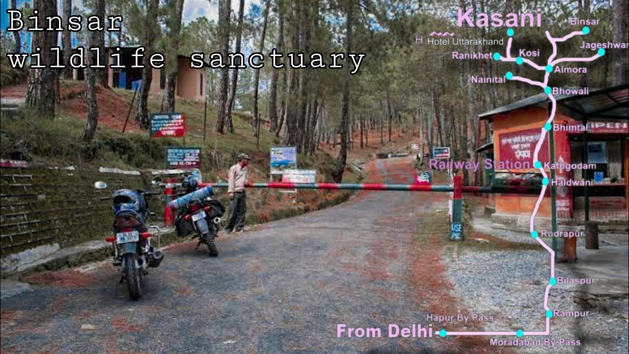 Binsar wildlife sanctuary uttarakhand | Highest point of Almora | bike ...