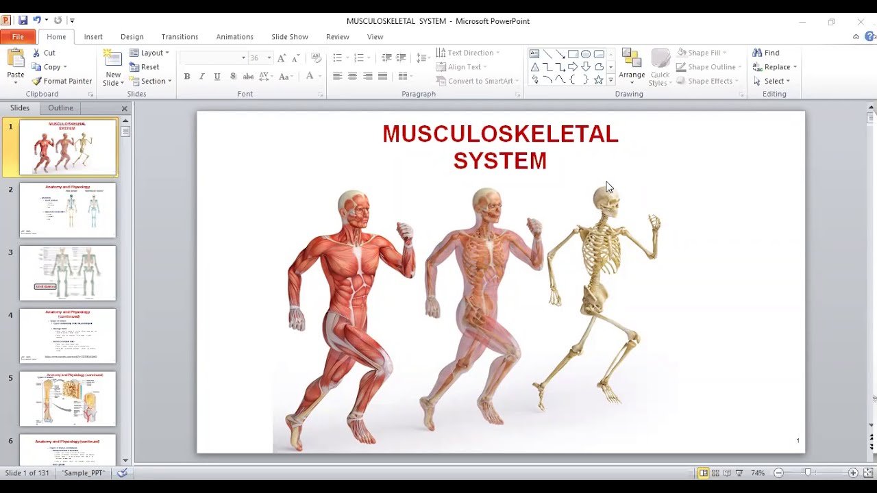 Medical-Surgical Nursing Musculoskeletal System Part 1 - YouTube