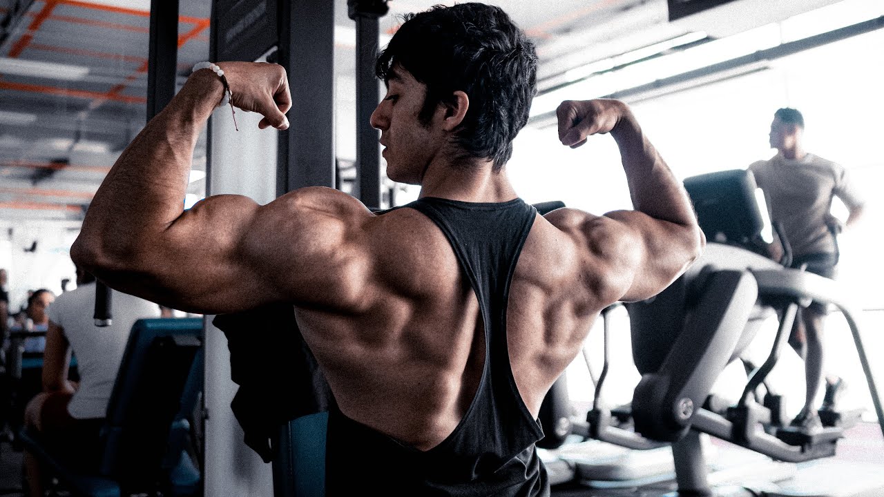 Bodybuilding Back Day - YouTube