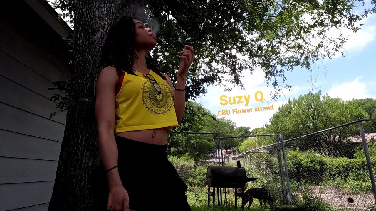 Suzy Q CBD Flower Review - YouTube