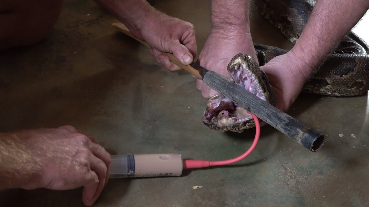 Saving Python Youtube 5039