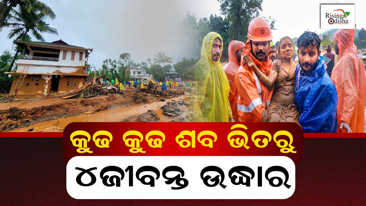 Wayanad Landslide Disaster: Death Toll Rises to 300, Army Finds 4 ...