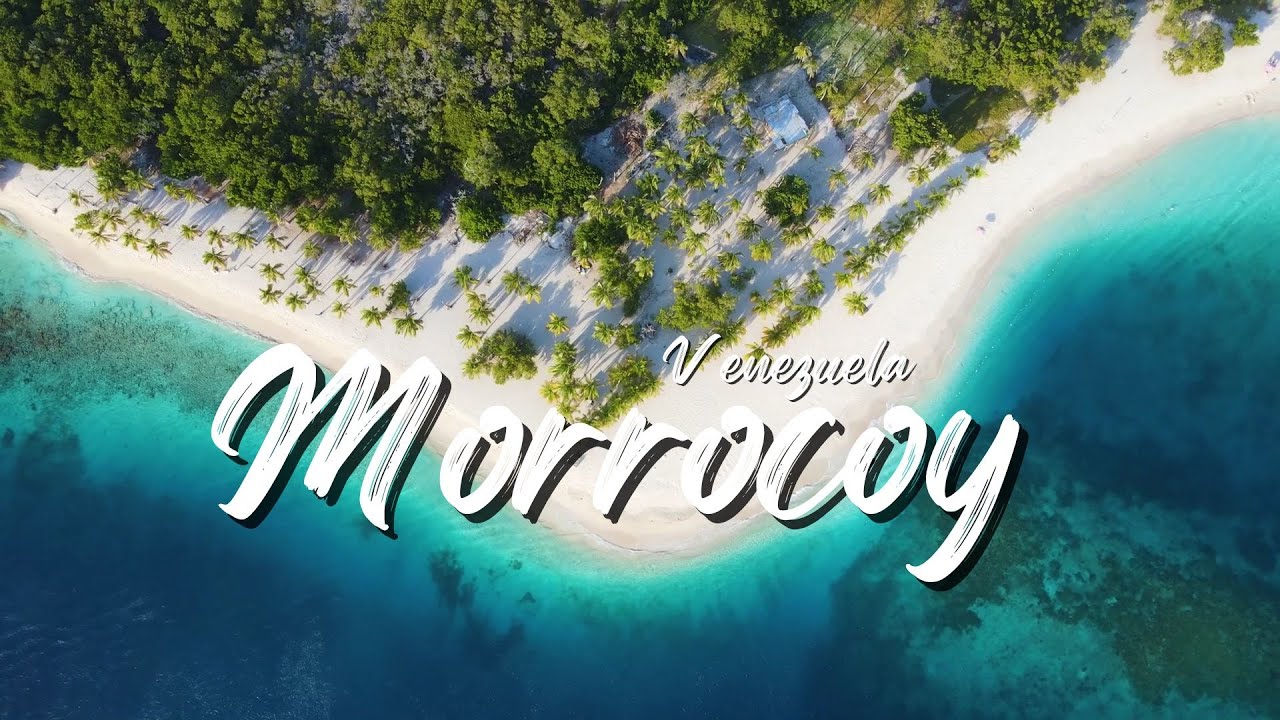 THE PARADISE OF MORROCOY IN VENEZUELA - YouTube