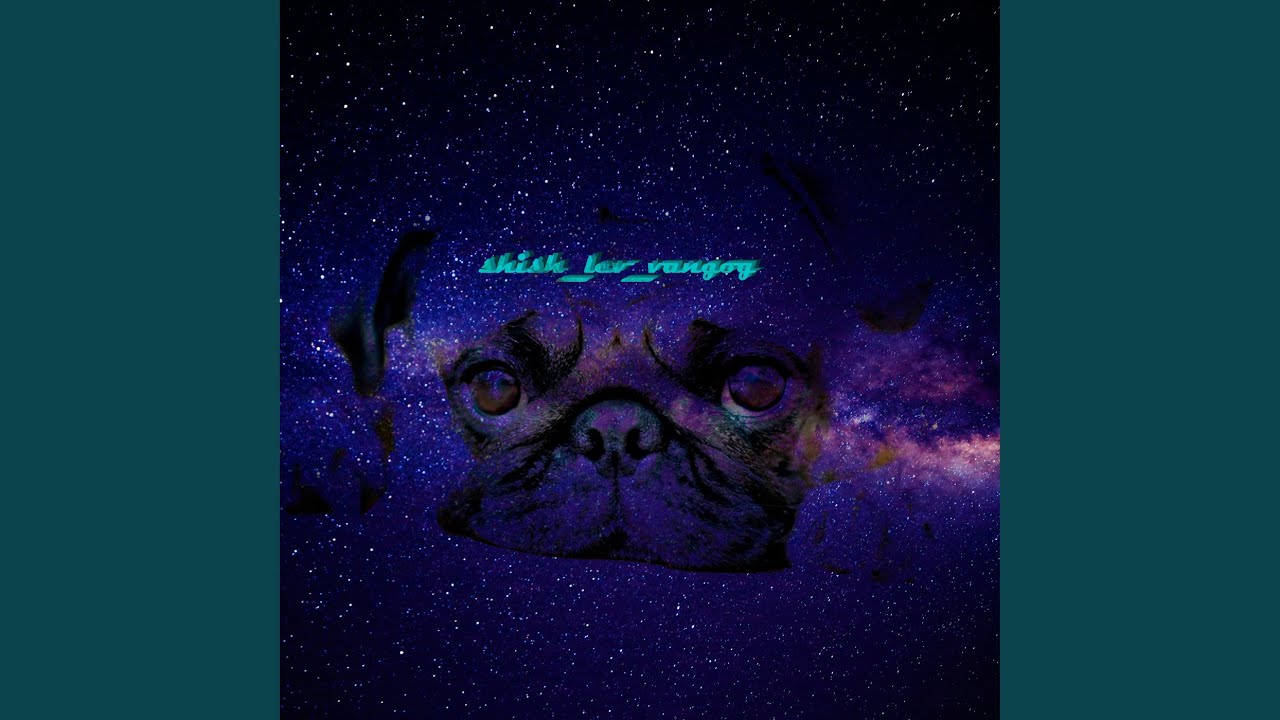 cosmic pug - YouTube