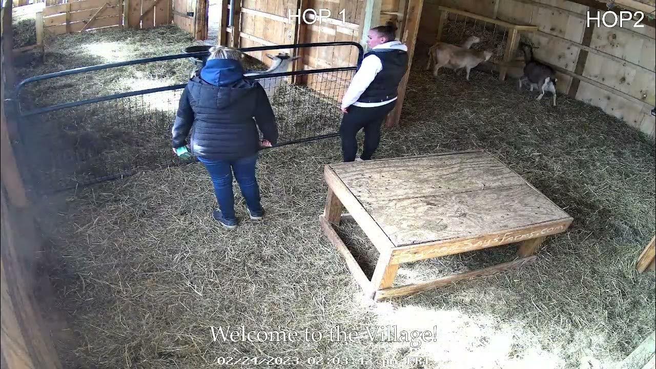 The Ladies Got Locked In The Barn YouTube the-ladies-got-locked-in-the-barn-youtube