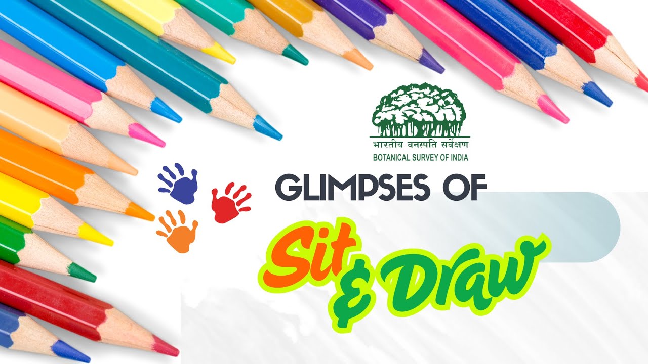 Glimpses of Sit and draw competition - YouTube