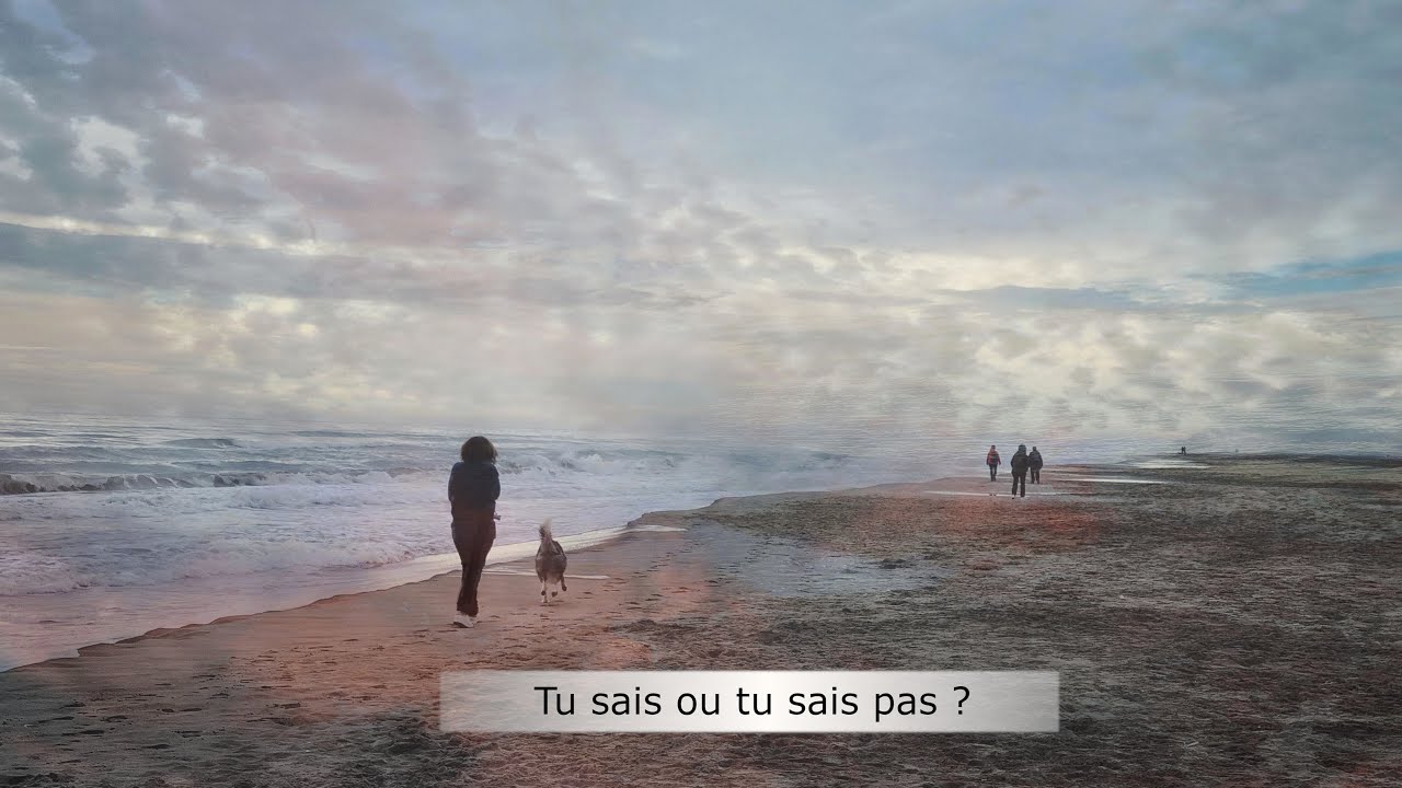 Tu sais ou tu sais pas #106 - La Rubrique de Frédérique - YouTube
