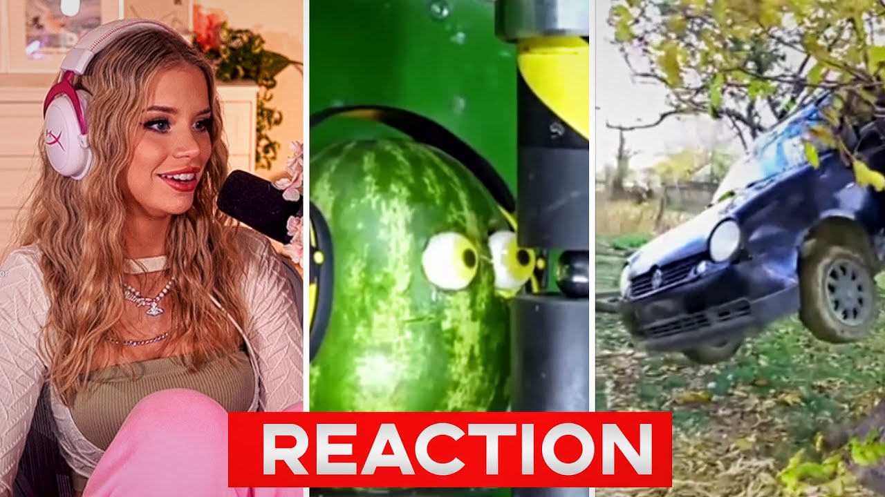 Berticuss React to UNUSUAL MEMES COMPILATION V248 - YouTube