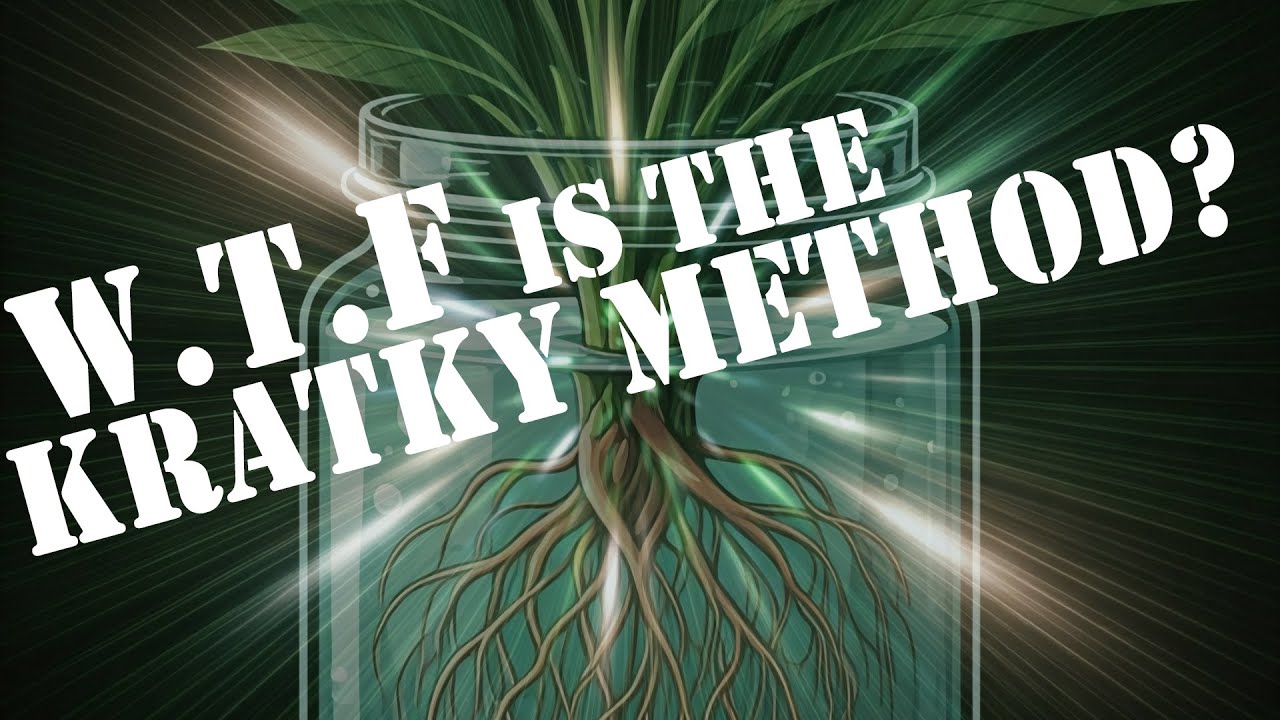 The BEST Garden For Beginners | The Kratky Method Explained | Non ...