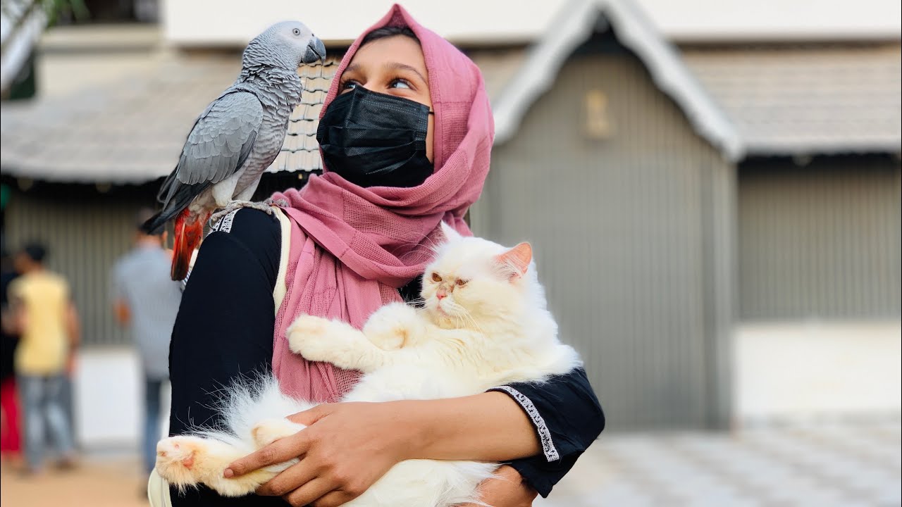 Petstation kannur| ഒരു pet station യാത്ര/Annus kitchen lab - YouTube