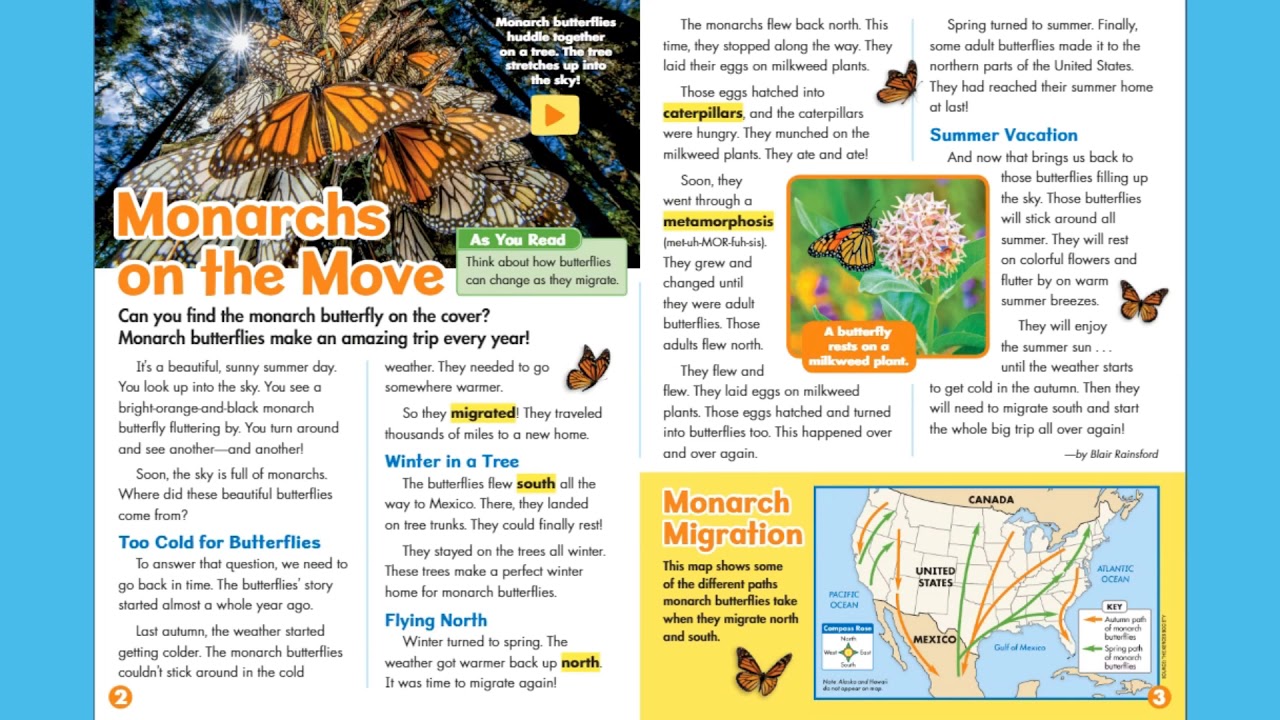 SN Butterflies - YouTube