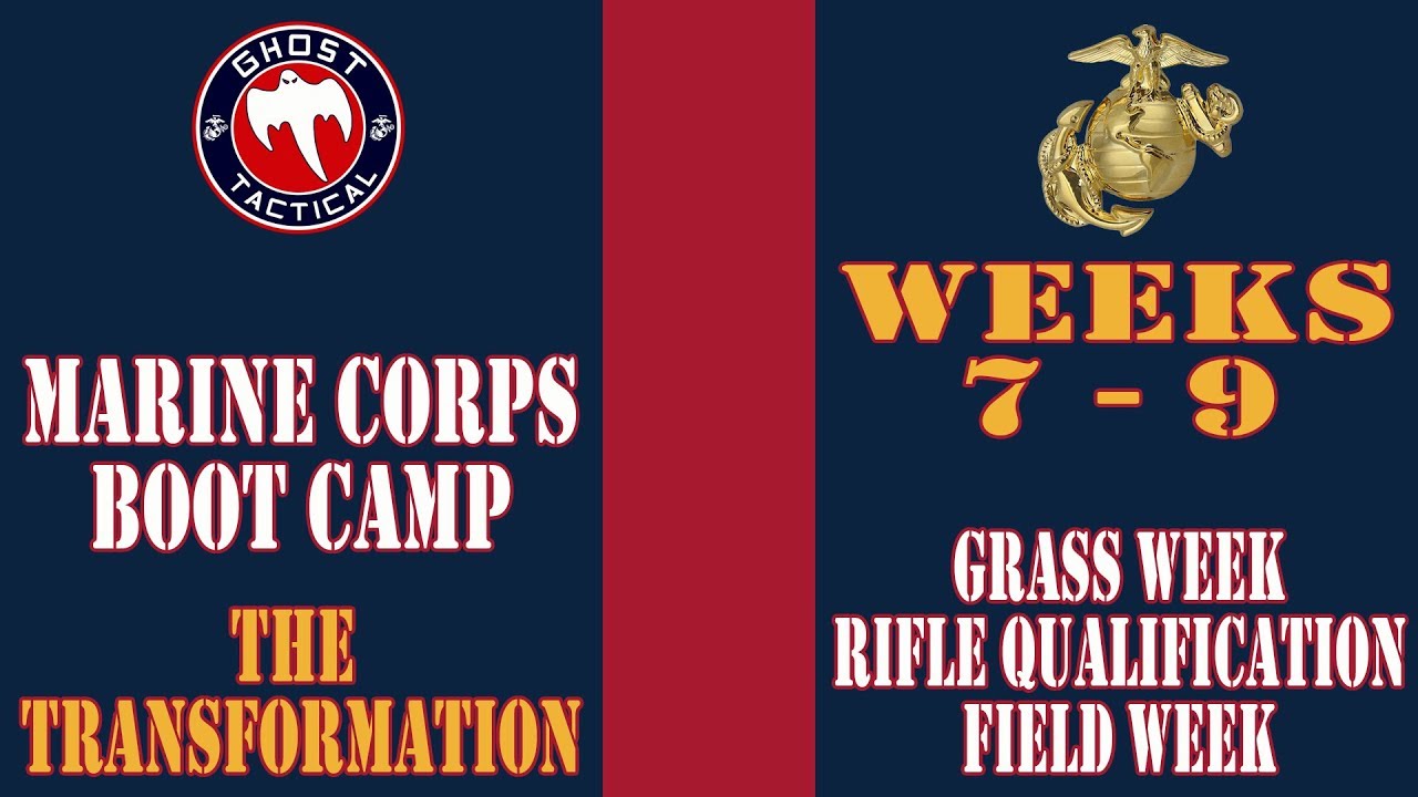 Marine Corps Boot Camp: Weeks 7-9: Grass Week, Rifle Qualification ...