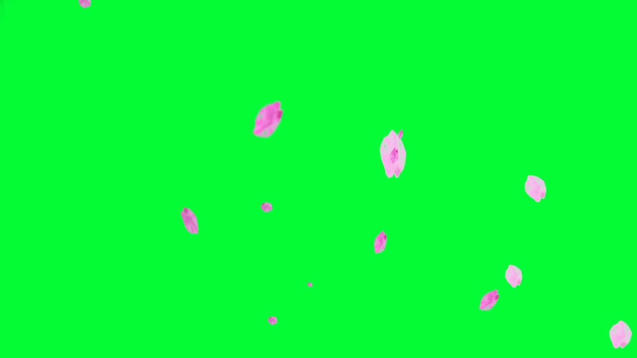 Green Screen Effect Falling sakura leaves - YouTube