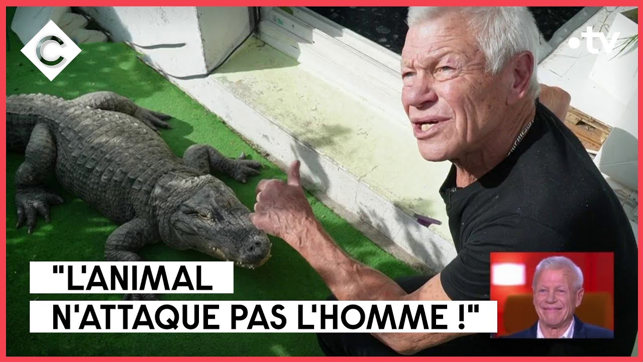 À la rencontre de l’homme croco, Philippe Gillet - C à Vous - 29/03 ...