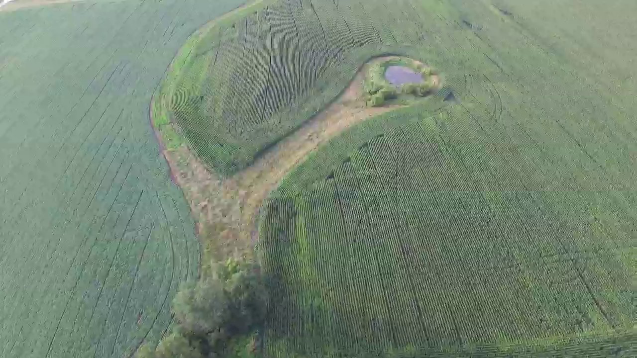 Schmitz Farms Checking the Cows and Crops - YouTube
