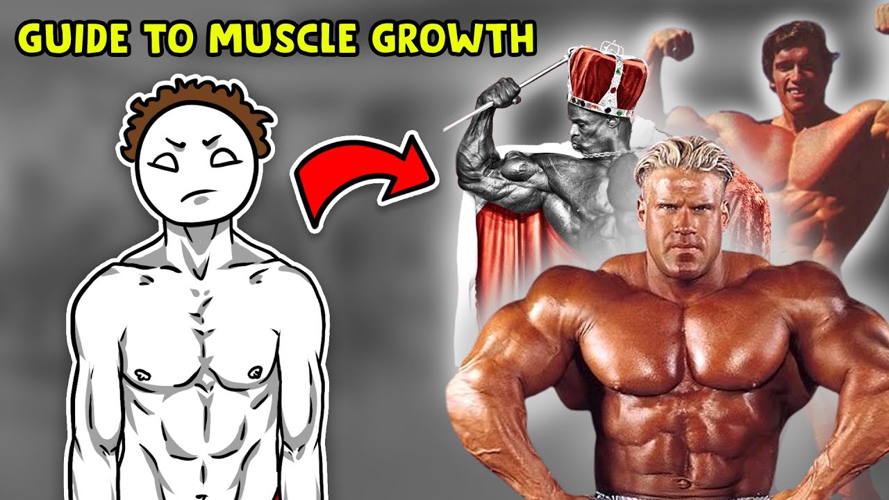 How To Gain MORE Muscle By Training Less - YouTube