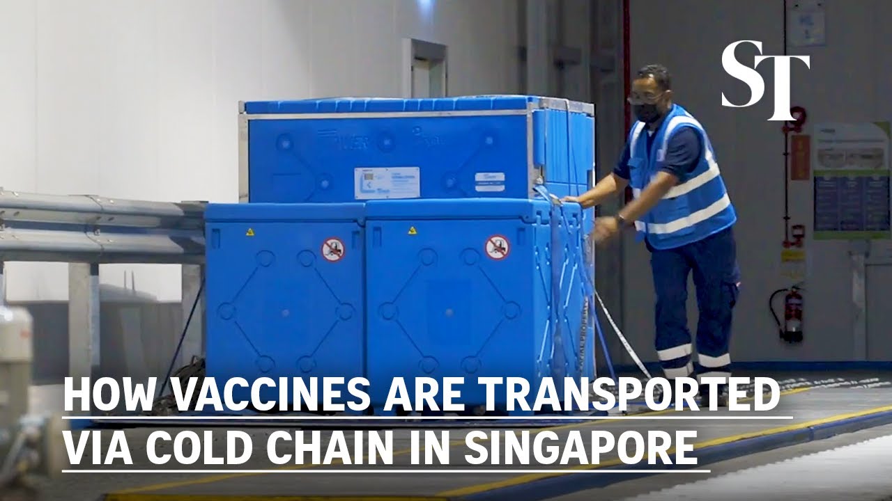 How vaccines are transported via cold chain in Singapore - YouTube