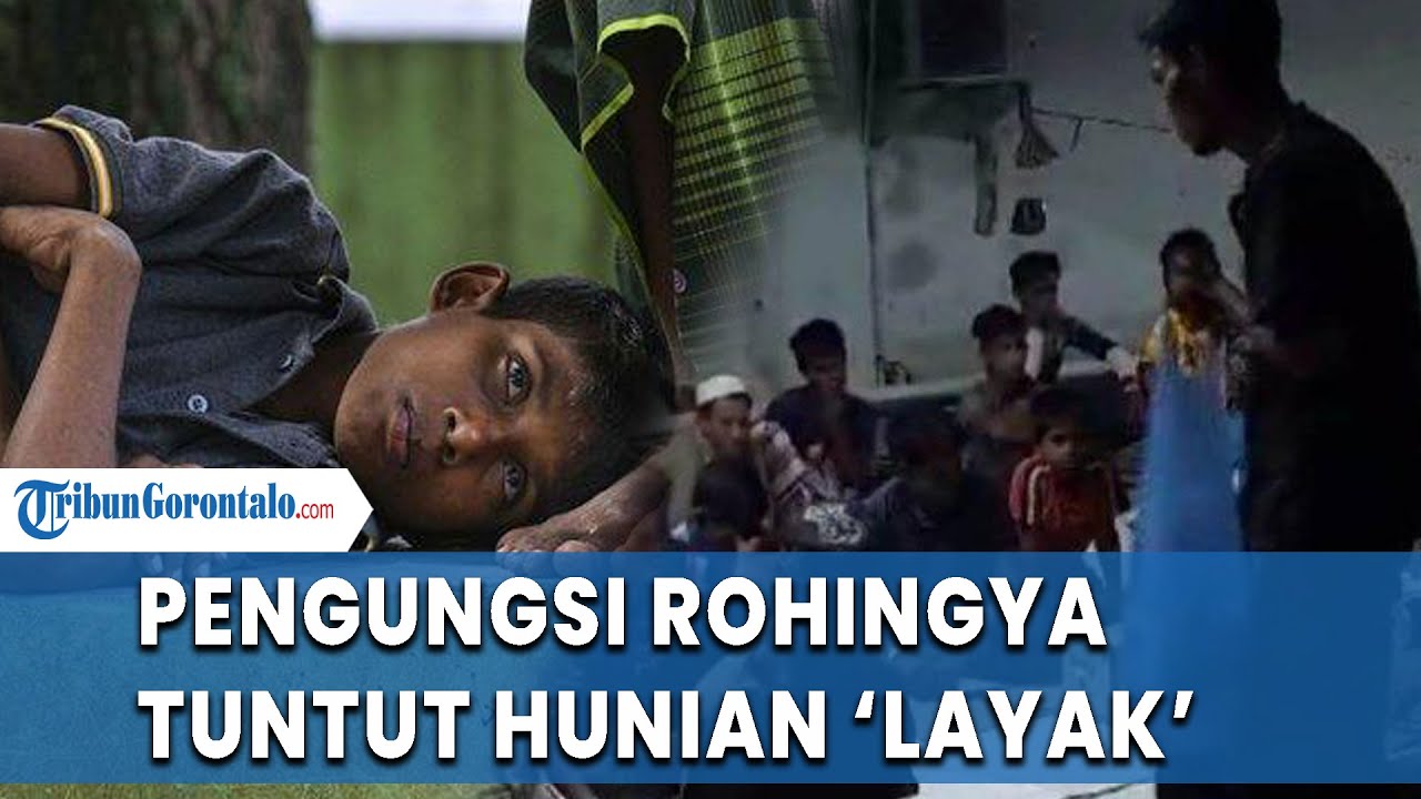 Kembali Berulah, Ratusan Pengungsi Rohingya Mogok Makan di Aceh - YouTube