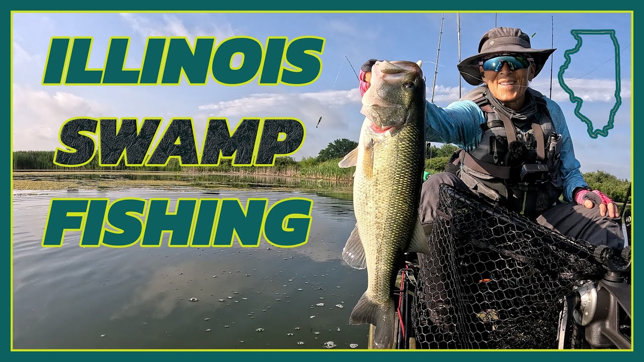 Illinois Swamp Fishing - 6/17/25 - YouTube