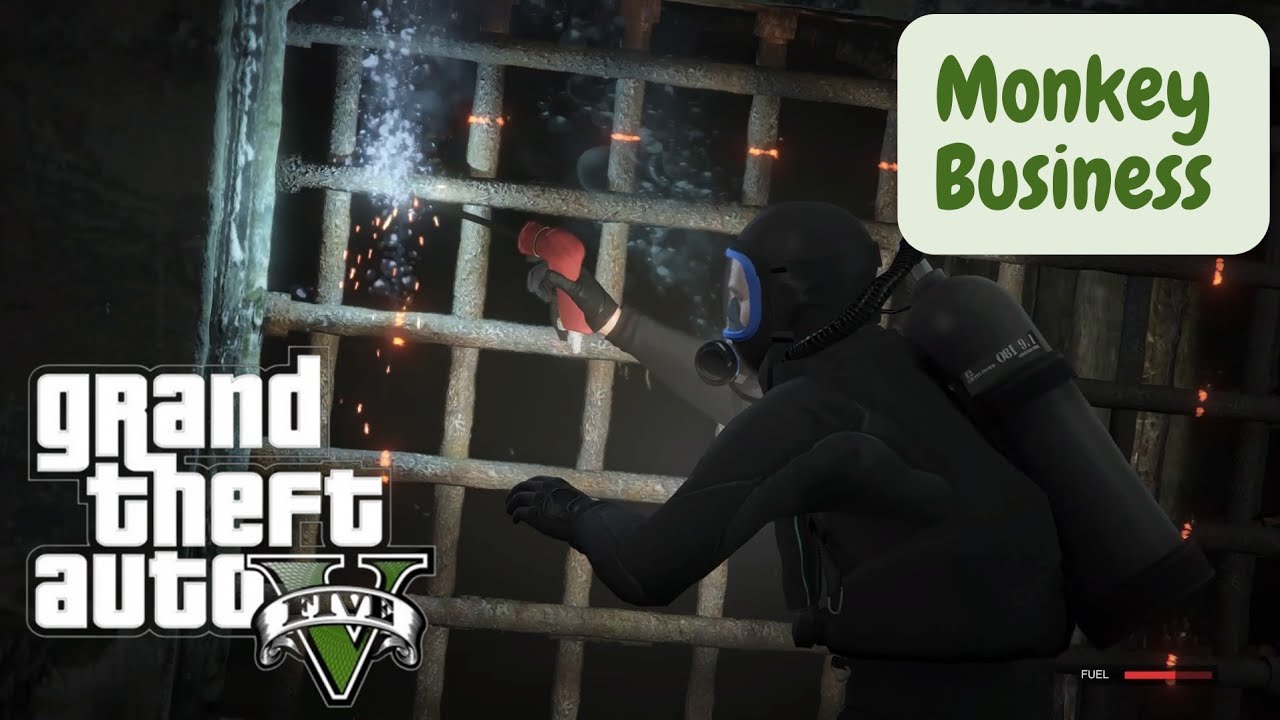 Grand Theft Auto V | Monkey Business - YouTube